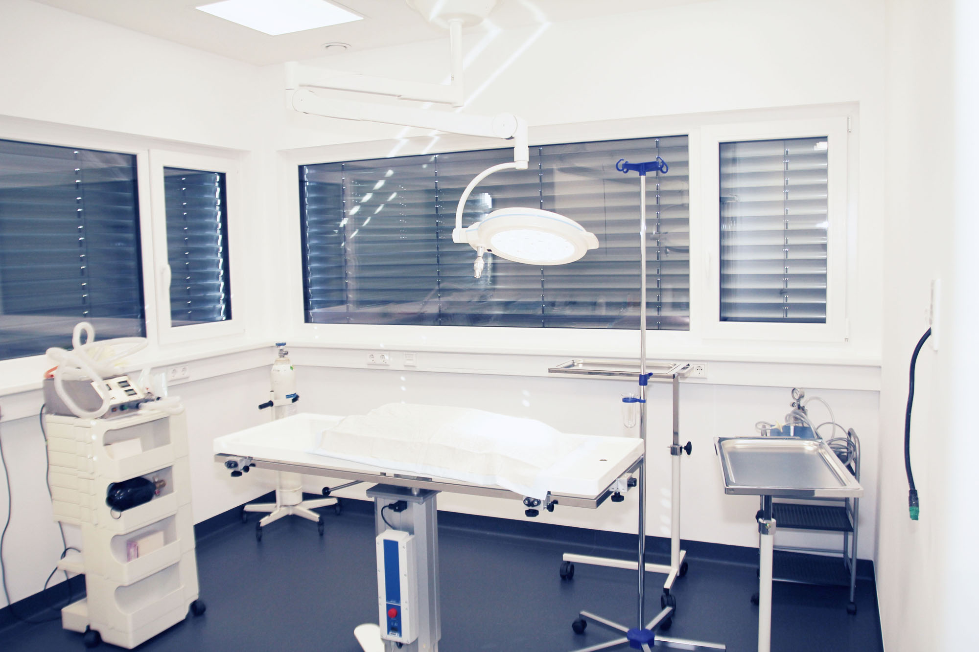 Portfolio Archiv - Tierärztliches Gesundheitszentrum Töging ...